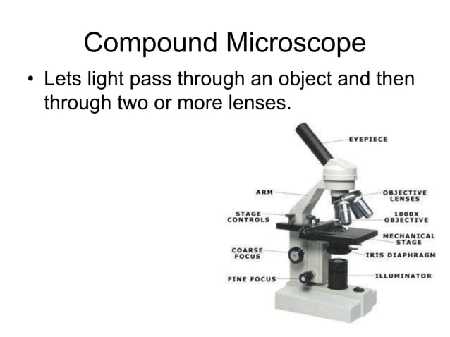 MICROSOPE TYPES PPT CAMBRIDGE AS BIOLOGY | PPT | Free Download