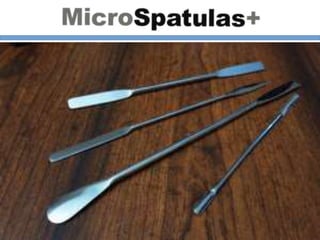 Lab Spatula | PPT