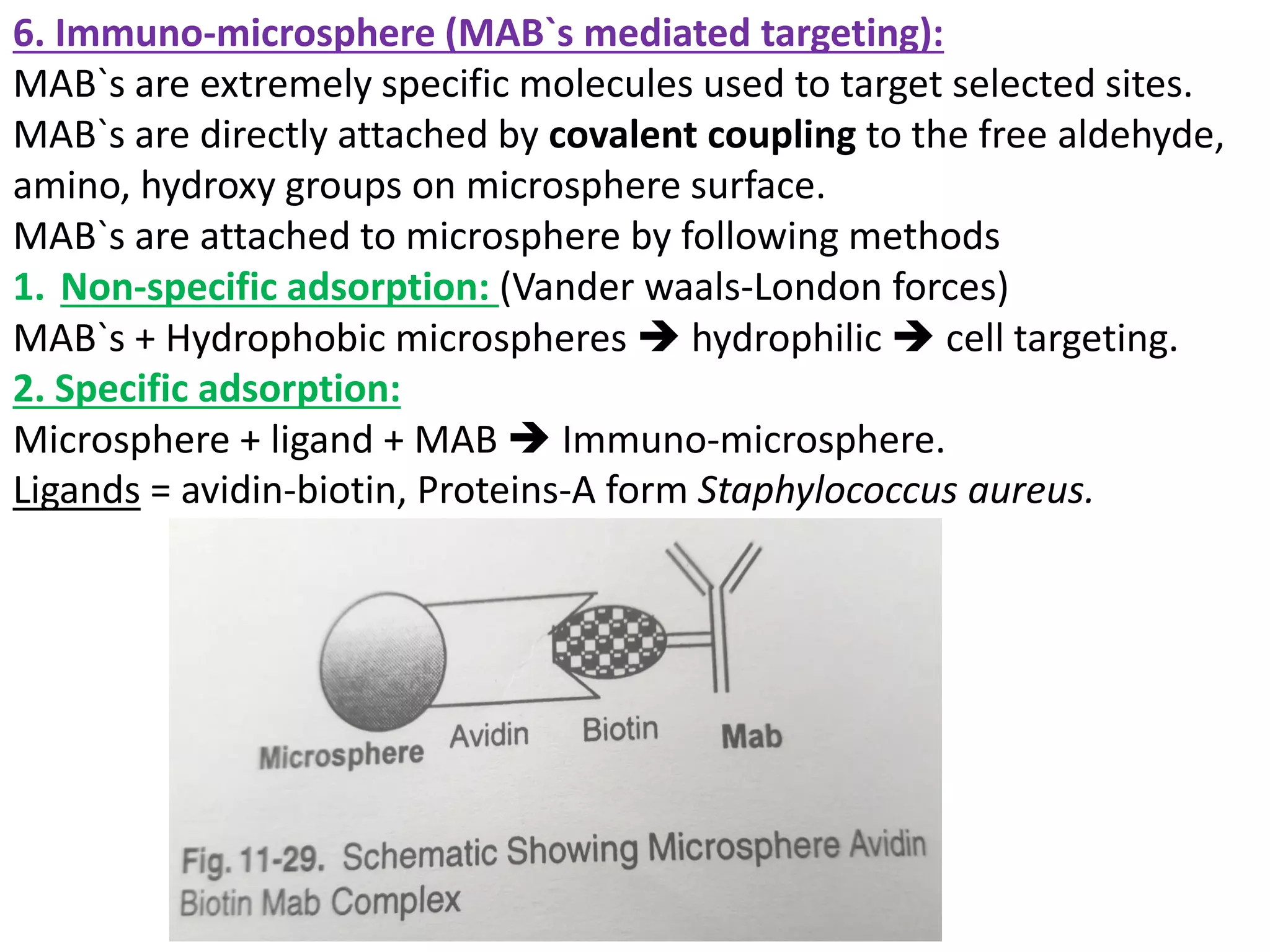 Microspheres | PDF