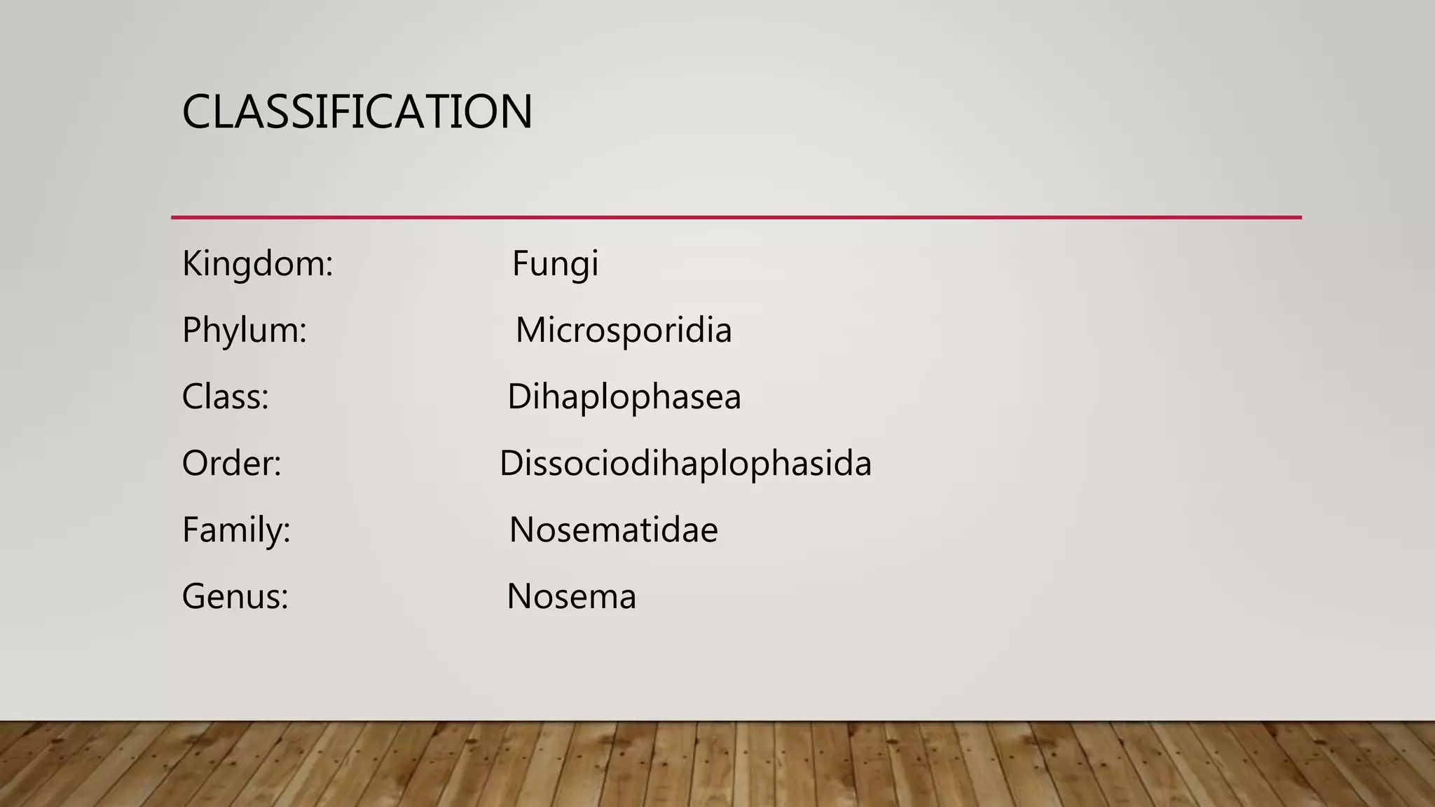 microspora.pptx