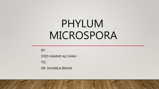 microspora.pptx