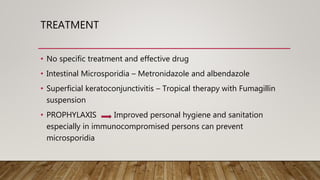 microspora.pptx