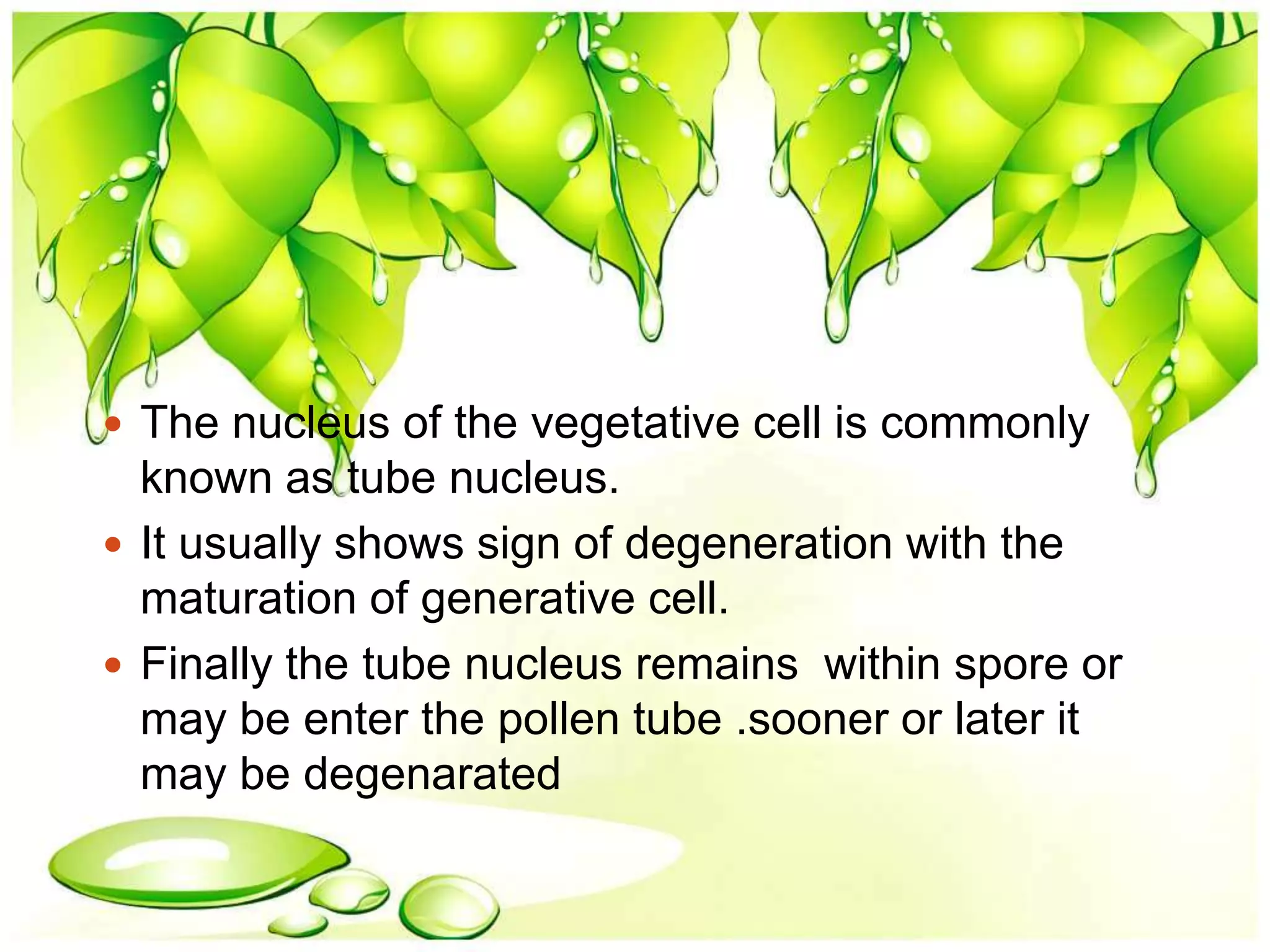 Microsporogenisis | PPTX