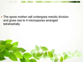 Microsporogenisis | PPTX