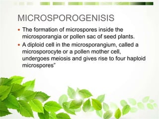Microsporogenisis | PPTX