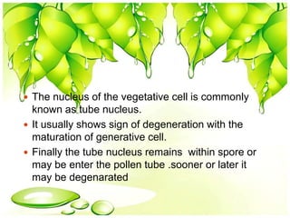 Microsporogenisis | PPTX