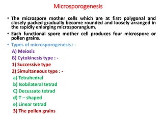 Microsporangium | PPTX