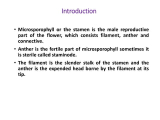 Microsporangium | PPTX