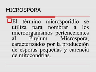 Microspora protozoologia | PPT