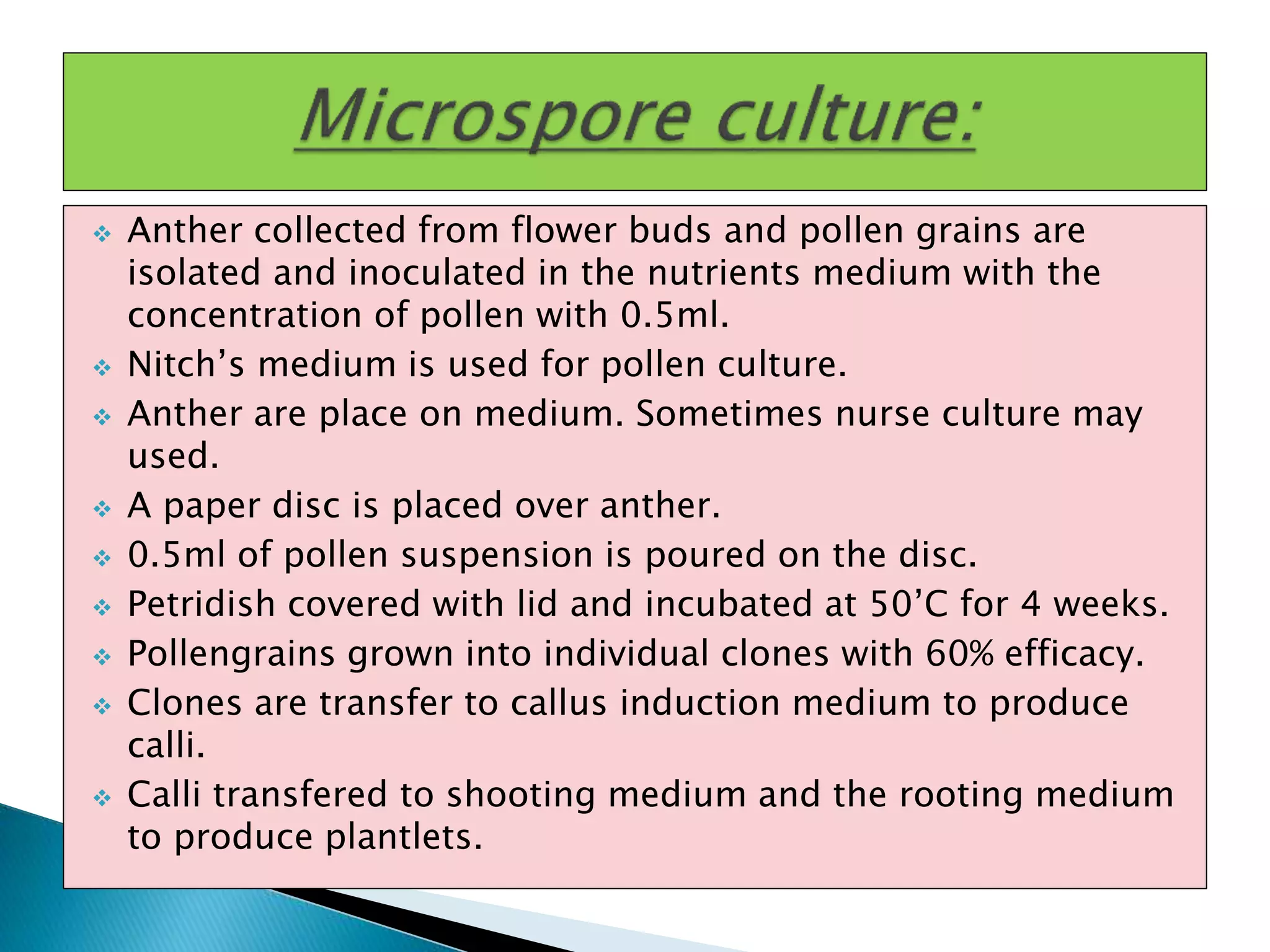 Microspore Culture for double haploid plants.pptx
