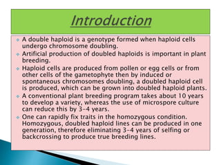 Microspore Culture for double haploid plants.pptx