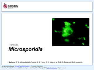 microsporidia.pptx