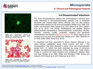 microsporidia.pptx