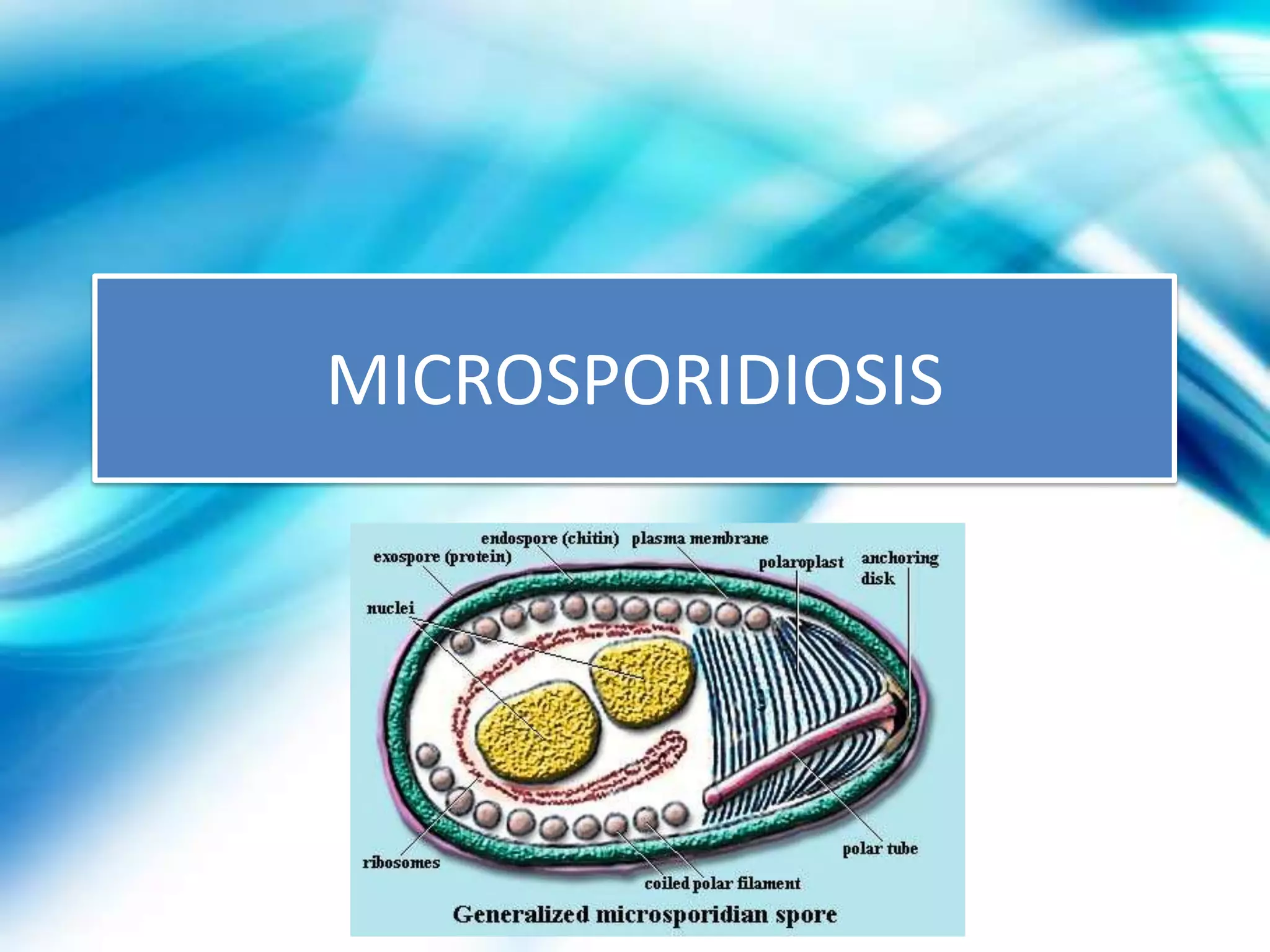Microsporidiosis | PPTX