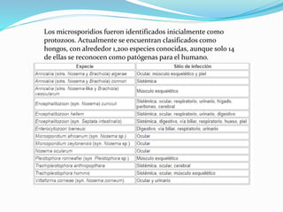 Microsporidiosis | PPTX