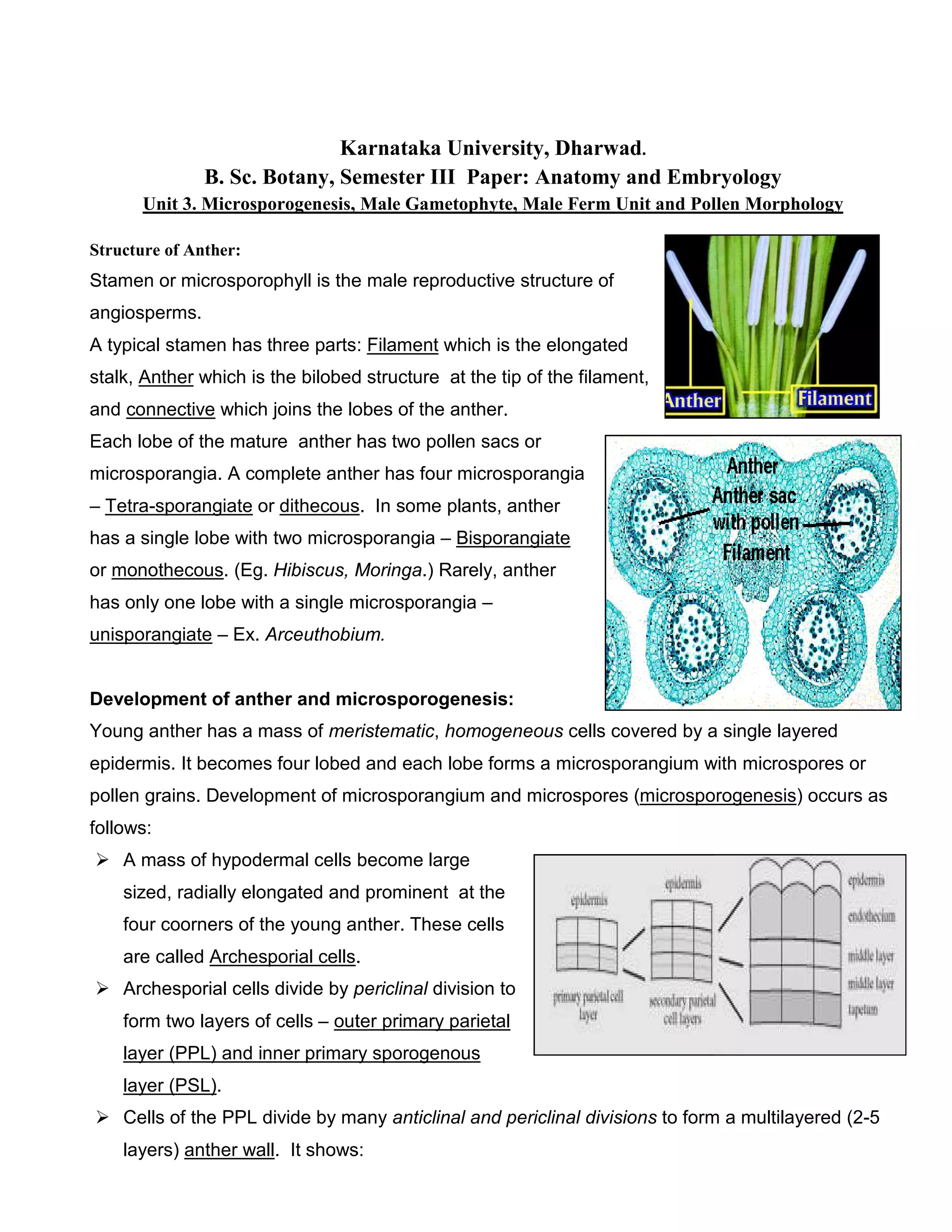 Microsporogenesis | PDF