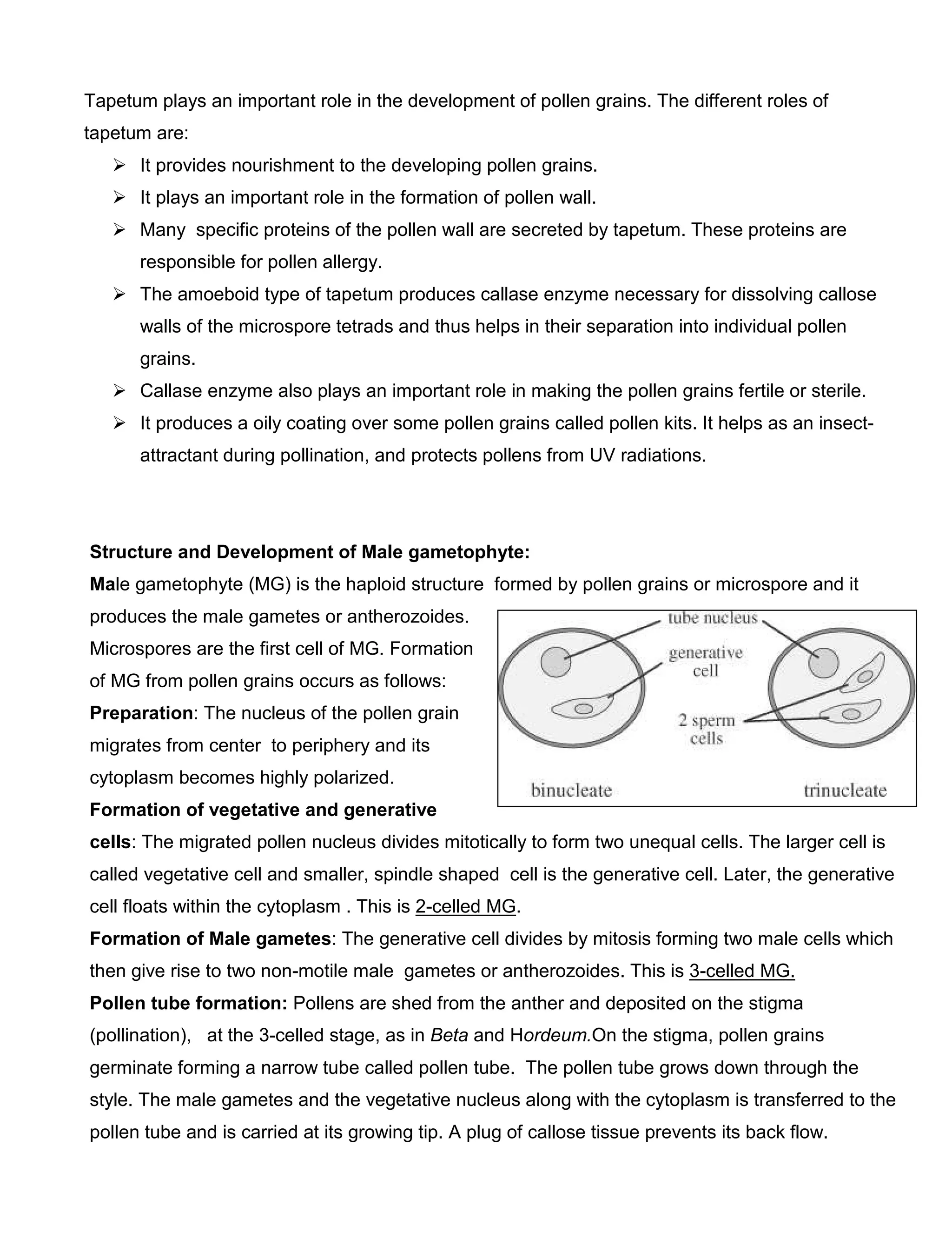 Microsporogenesis | PDF