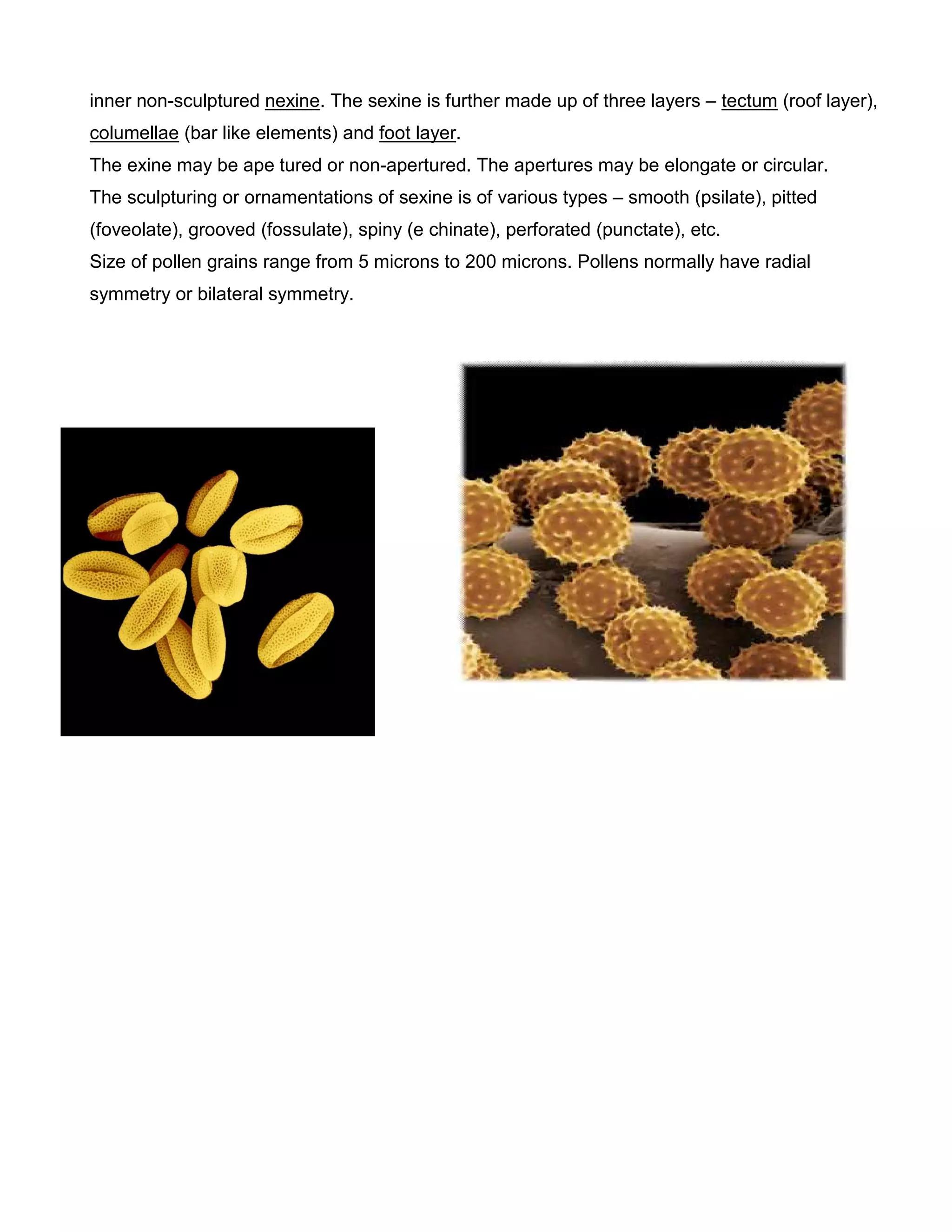 Microsporogenesis | PDF