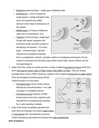 Microsporogenesis | PDF