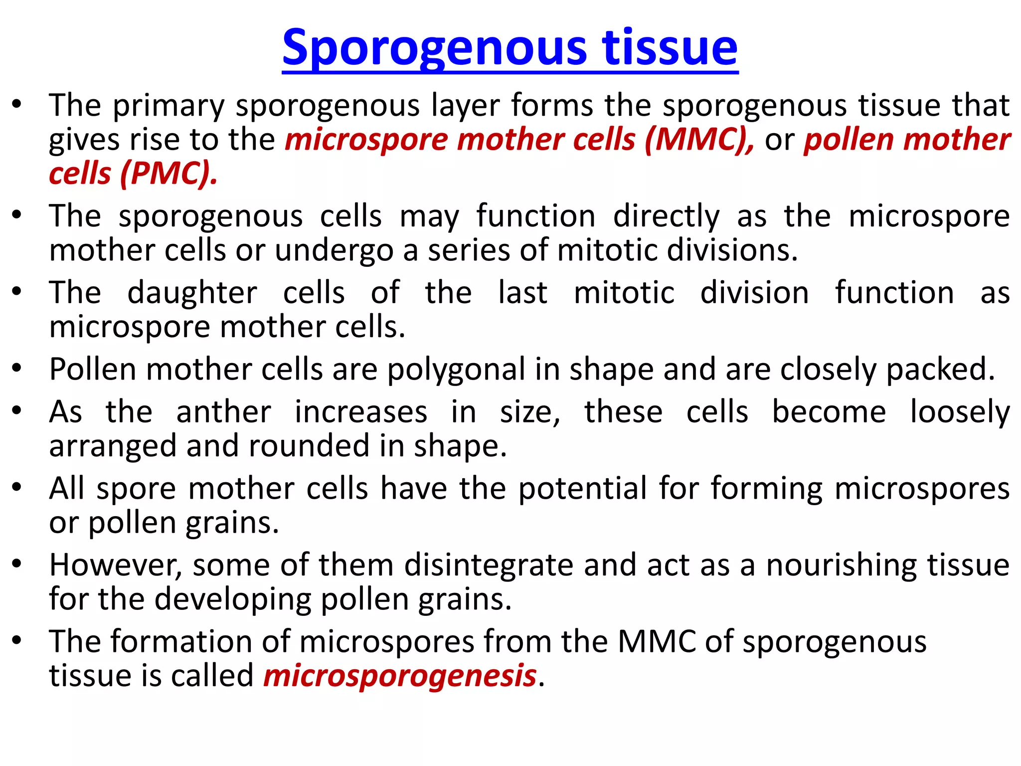 Microsporogenesis | PPTX