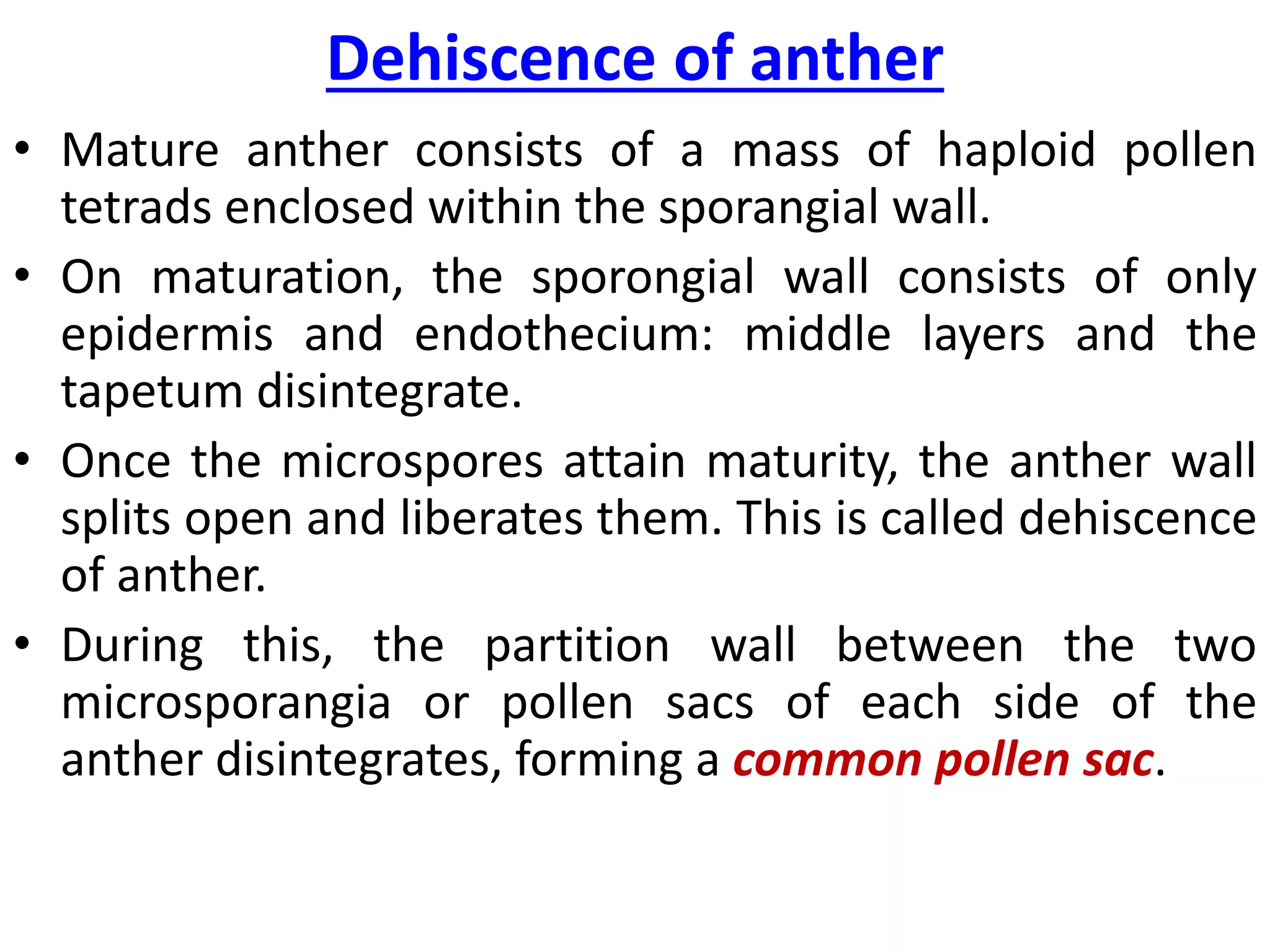 Microsporogenesis | PPTX