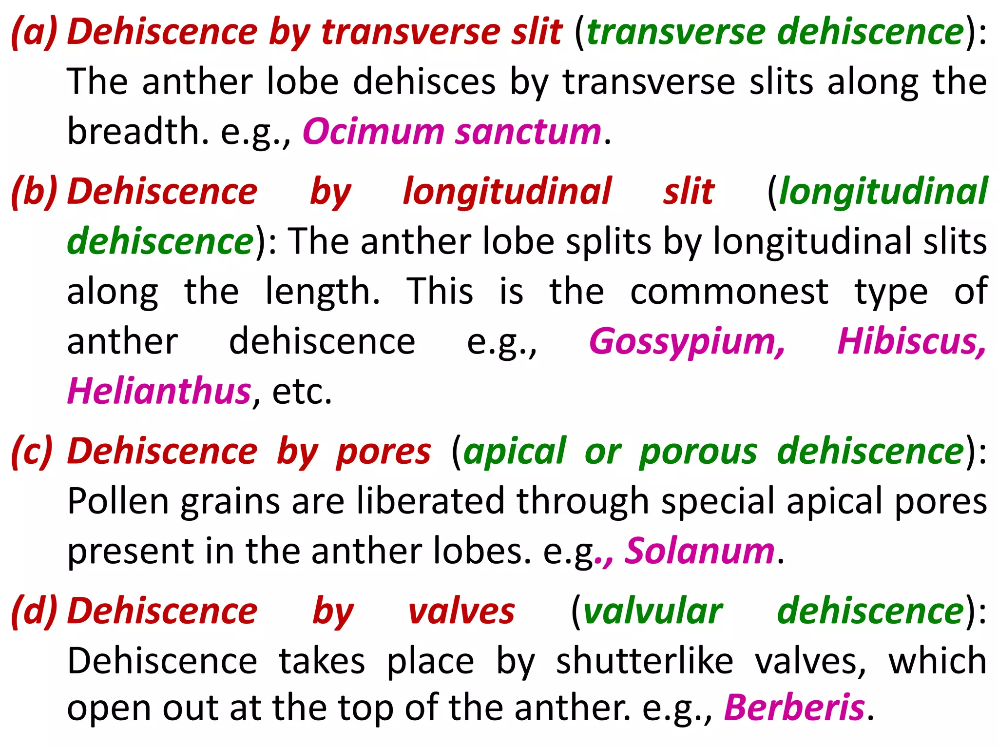 Microsporogenesis | PPTX