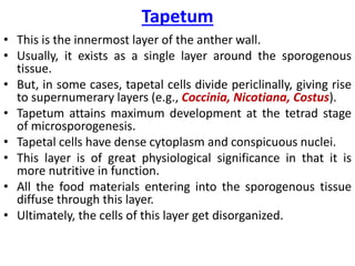 Microsporogenesis | PPTX