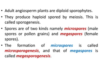 Microsporogenesis | PPTX