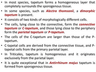 Microsporogenesis | PPTX