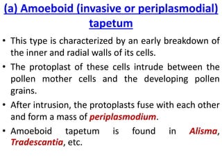 Microsporogenesis | PPTX