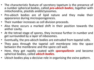Microsporogenesis | PPTX