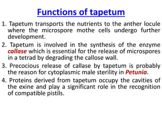 Microsporogenesis | PPTX