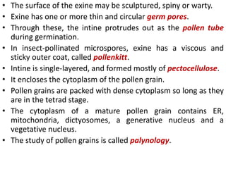 Microsporogenesis | PPTX