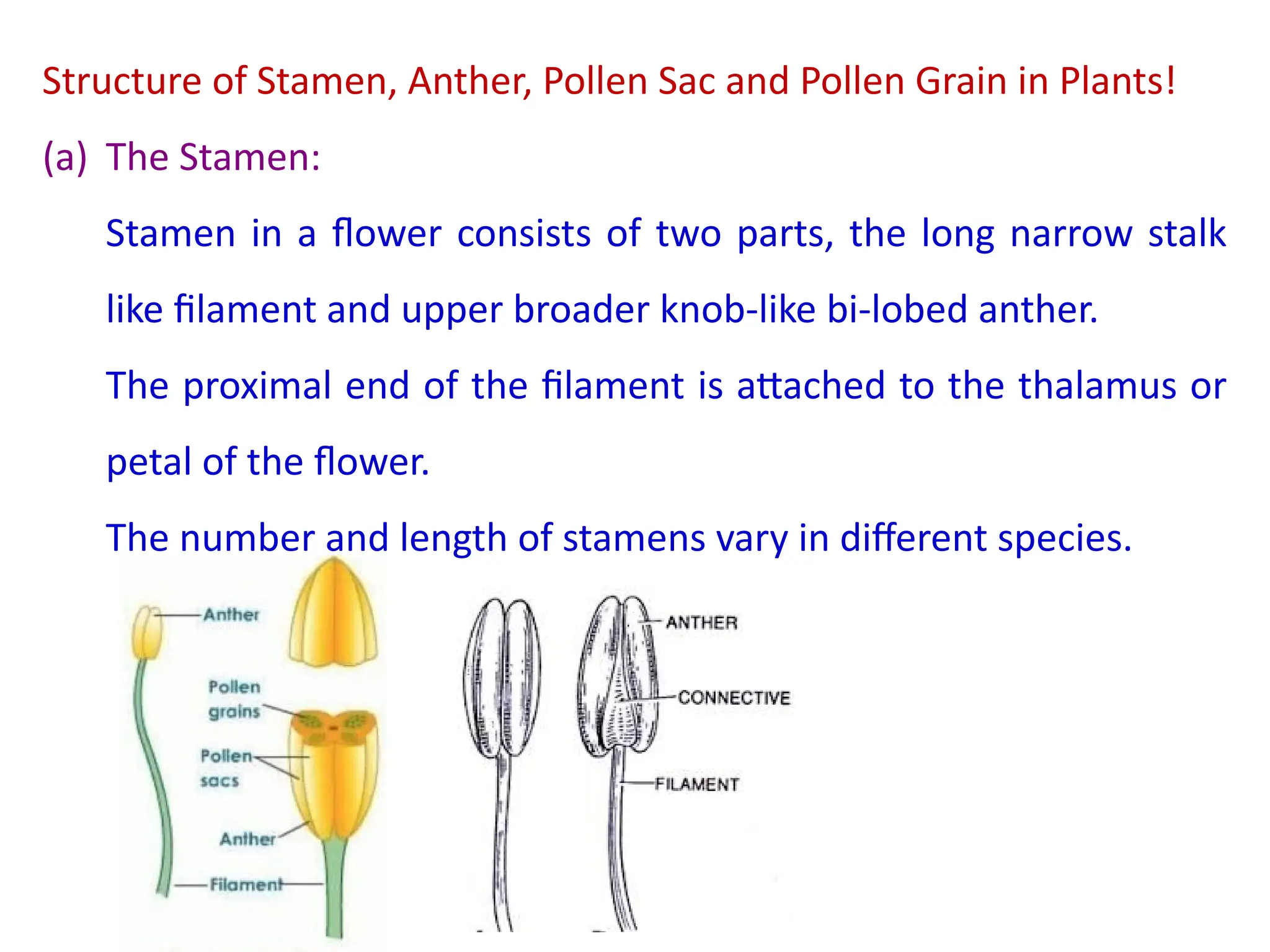 Microsporogenesis - Embryology of angiosperms.pdf