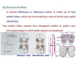Microsporogenesis - Embryology of angiosperms.pdf