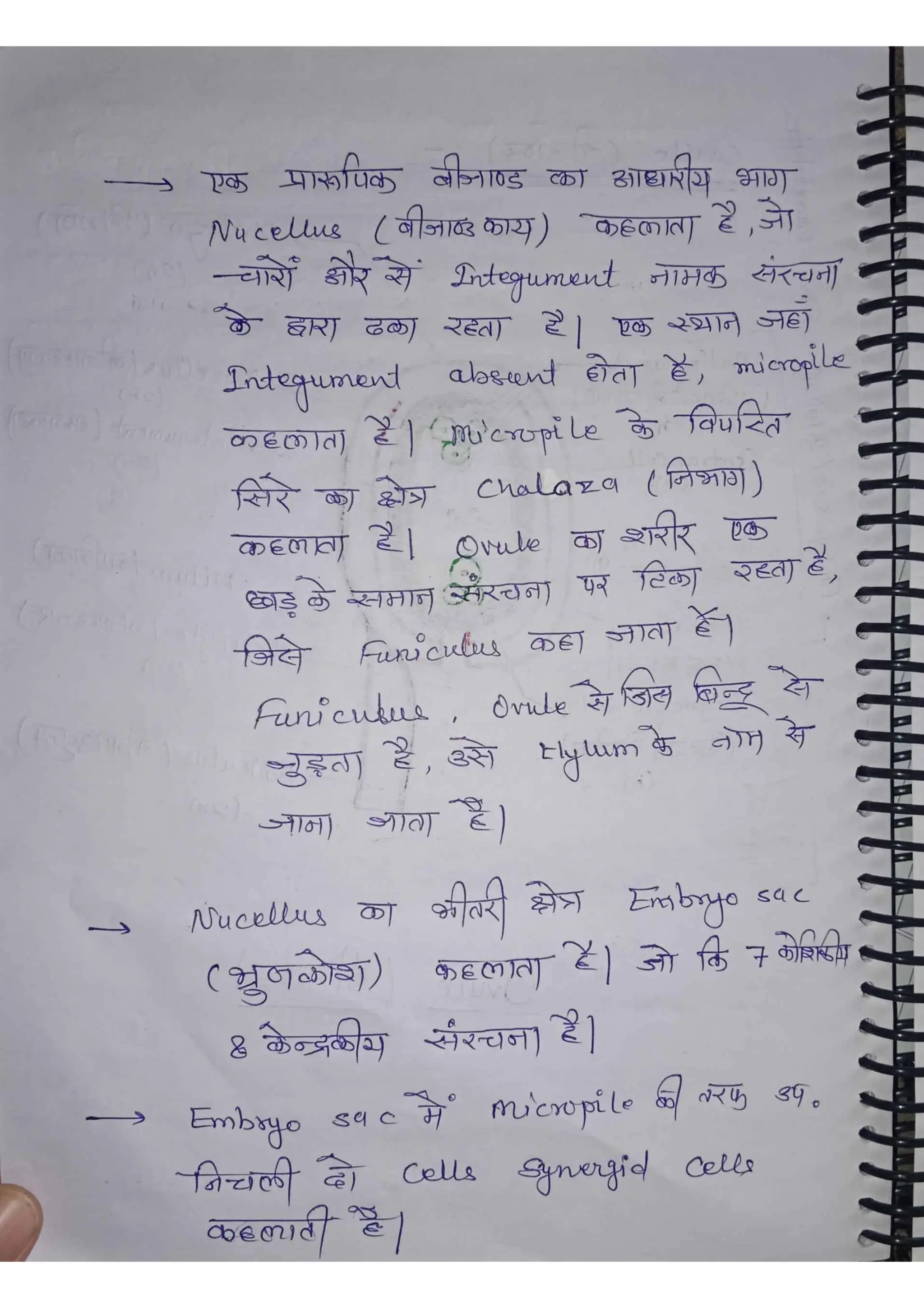Microsporogenesis , Pollen Grains , Male Gametophyte, Ovule ...