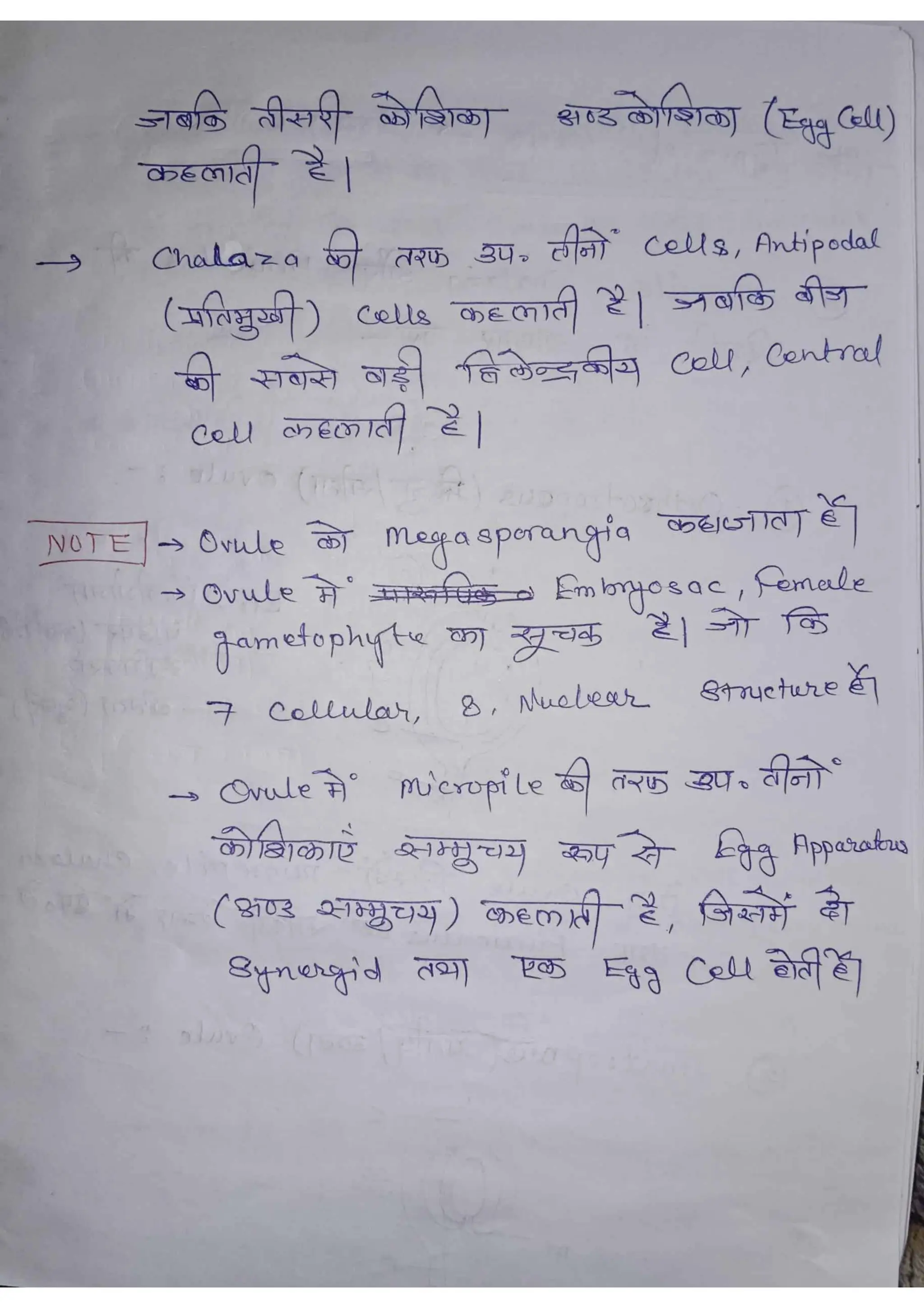 Microsporogenesis , Pollen Grains , Male Gametophyte, Ovule ...