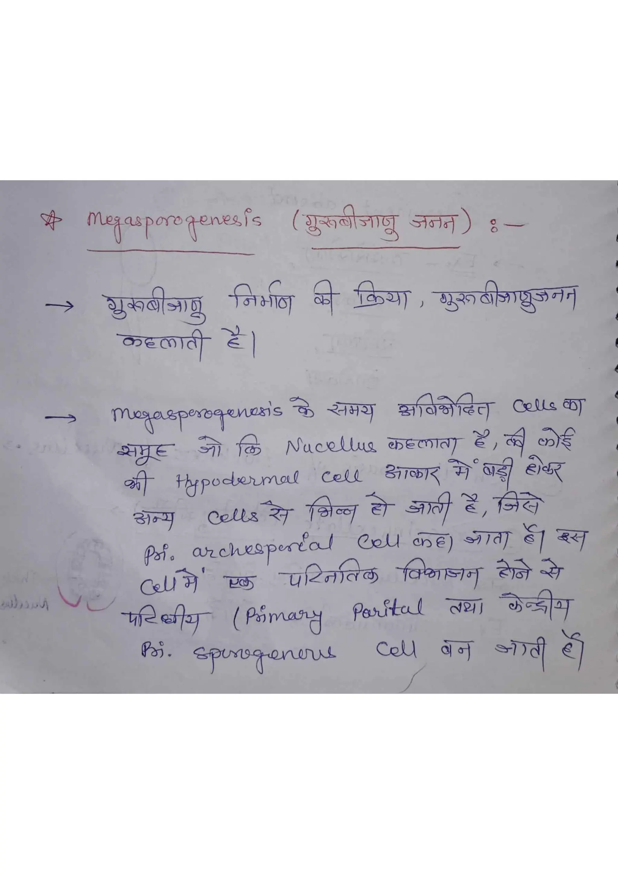 Microsporogenesis , Pollen Grains , Male Gametophyte, Ovule ...