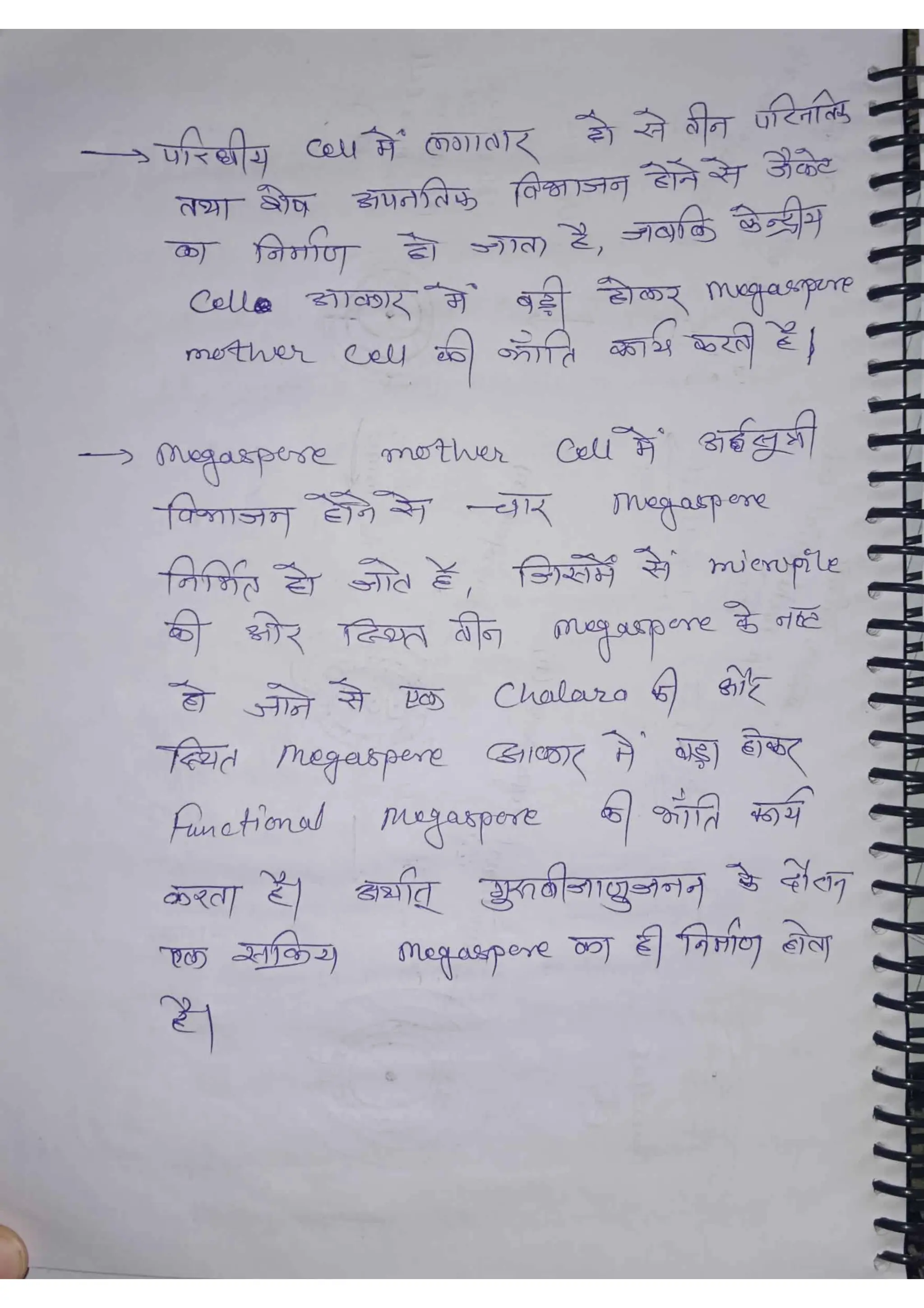 Microsporogenesis , Pollen Grains , Male Gametophyte, Ovule ...