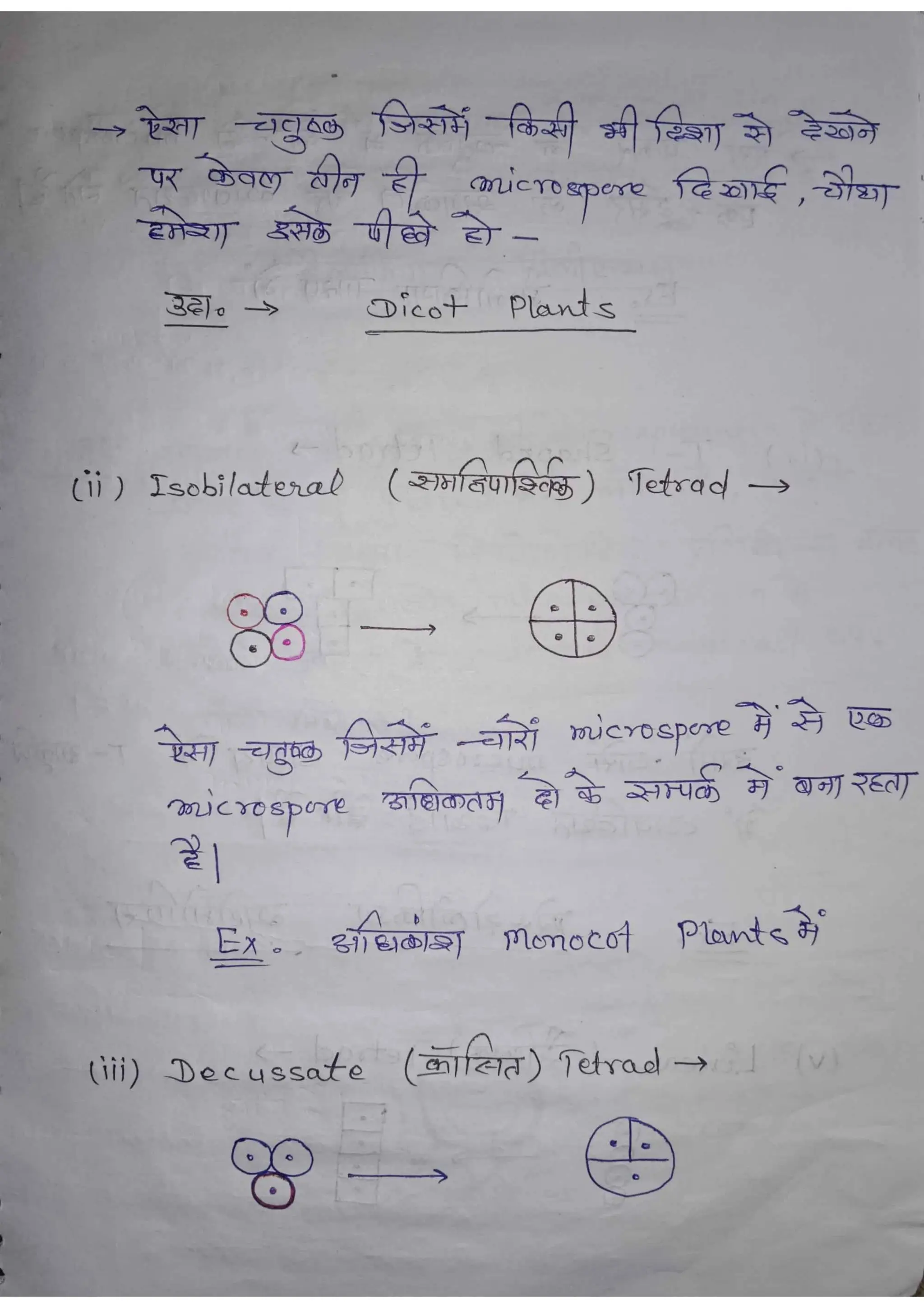 Microsporogenesis , Pollen Grains , Male Gametophyte, Ovule ...