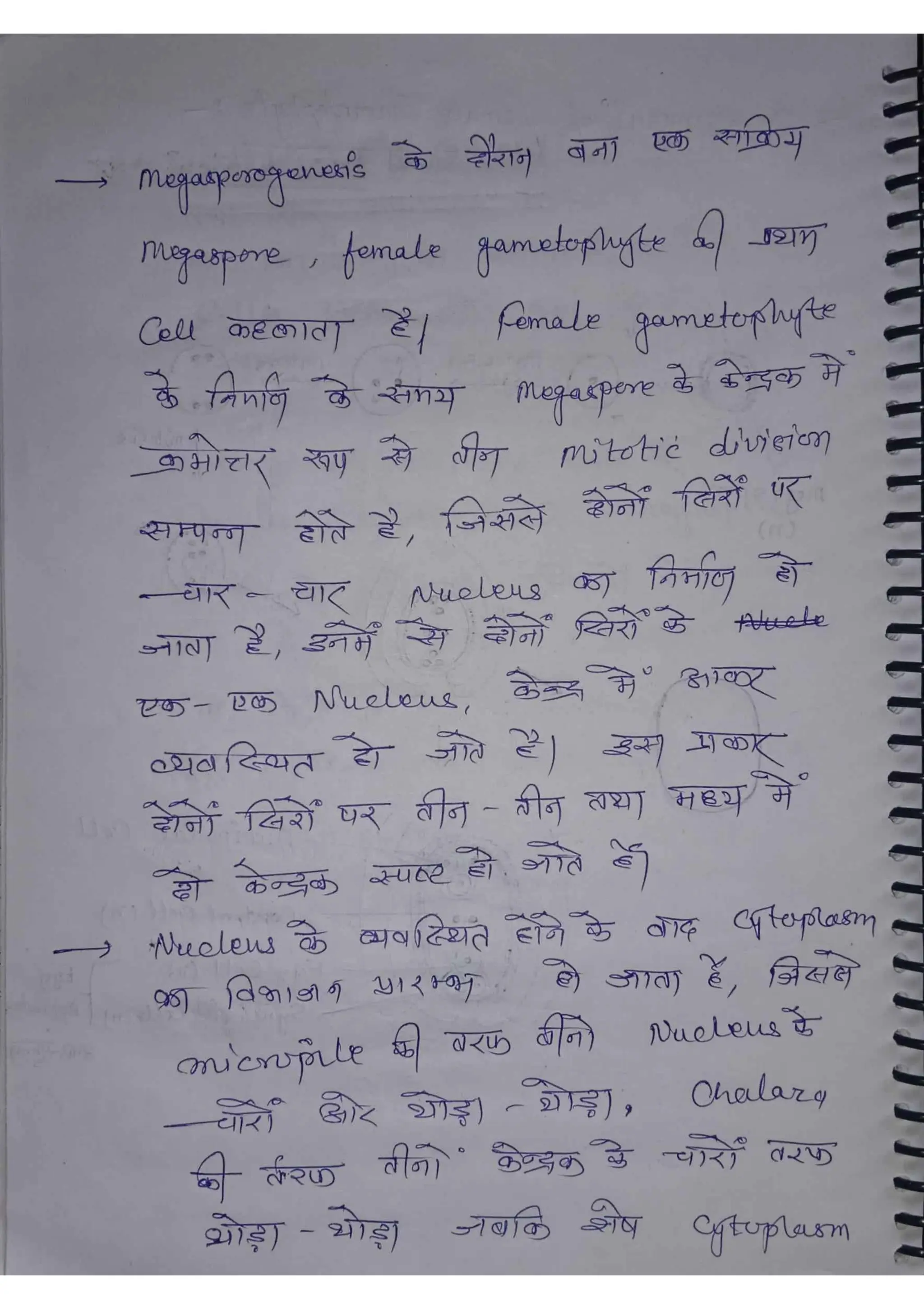 Microsporogenesis , Pollen Grains , Male Gametophyte, Ovule ...