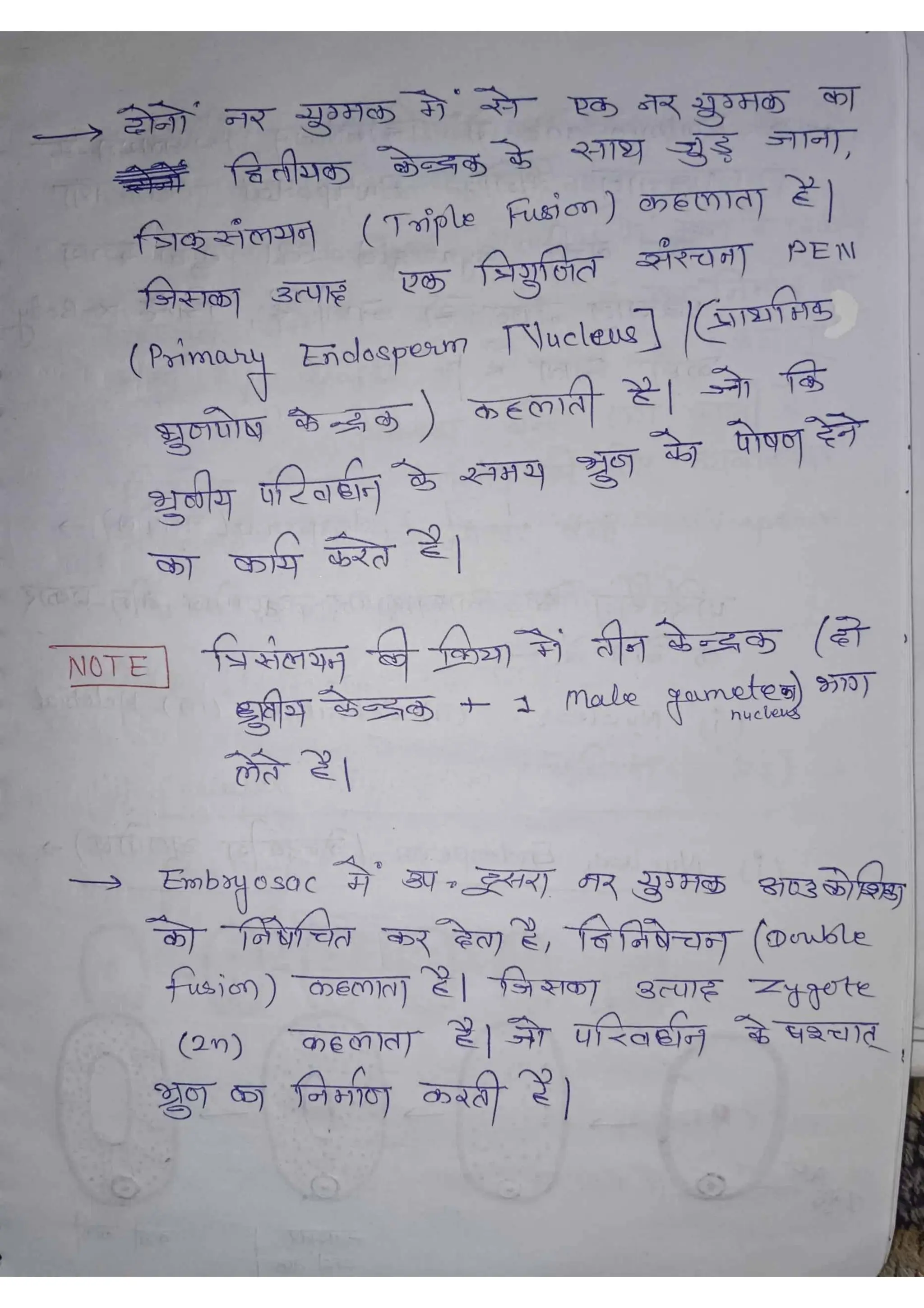 Microsporogenesis , Pollen Grains , Male Gametophyte, Ovule ...