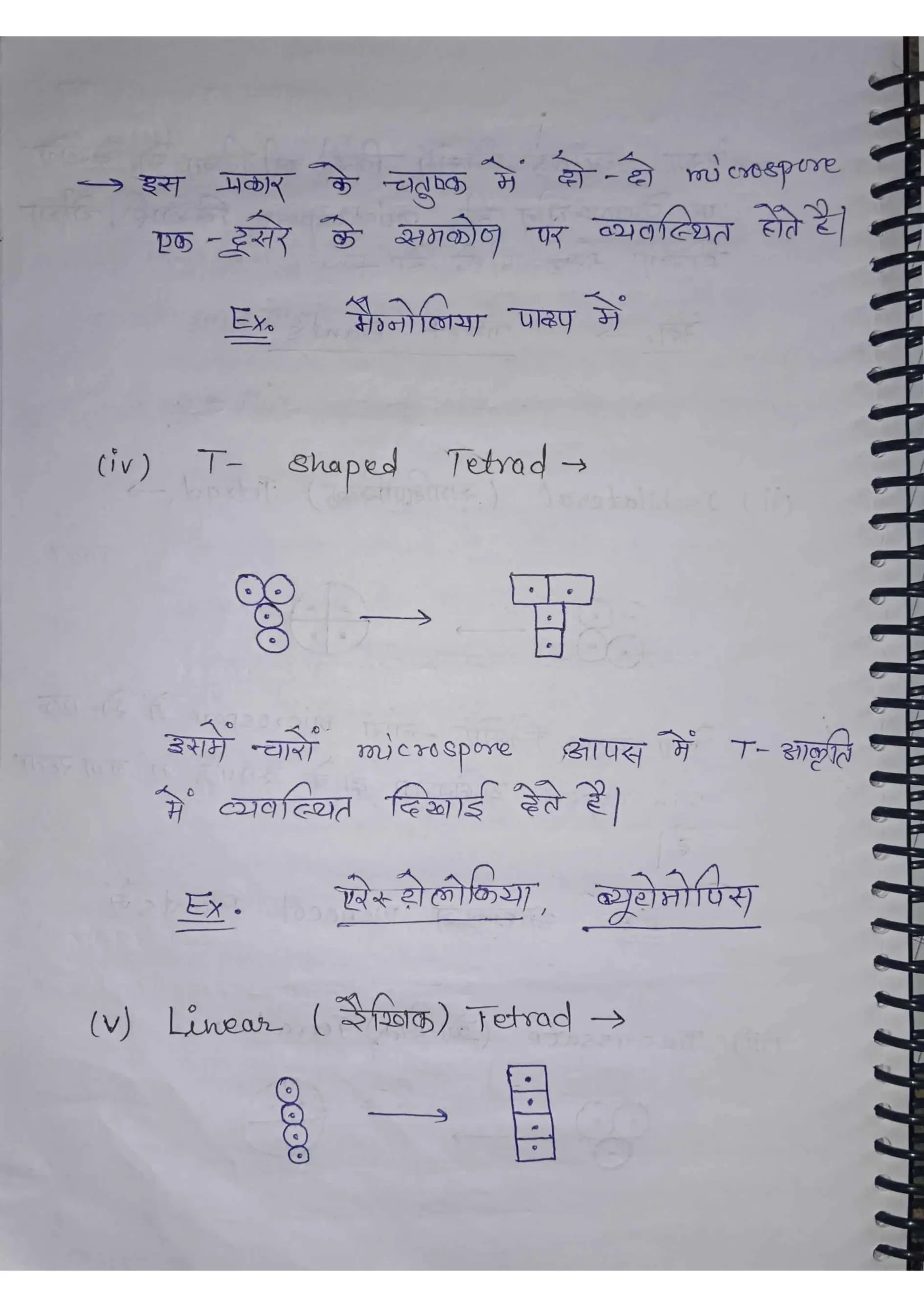 Microsporogenesis , Pollen Grains , Male Gametophyte, Ovule ...