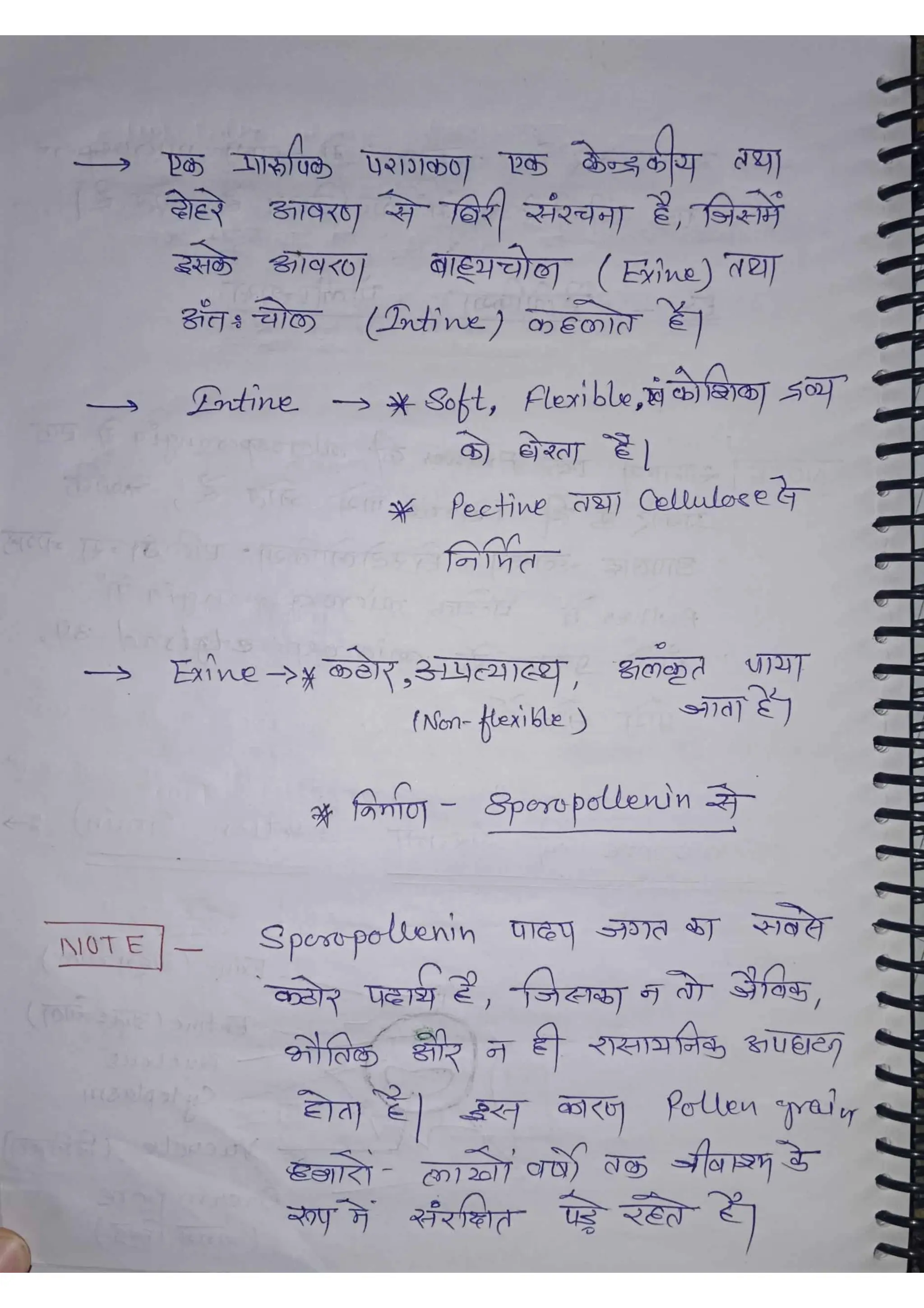 Microsporogenesis , Pollen Grains , Male Gametophyte, Ovule ...
