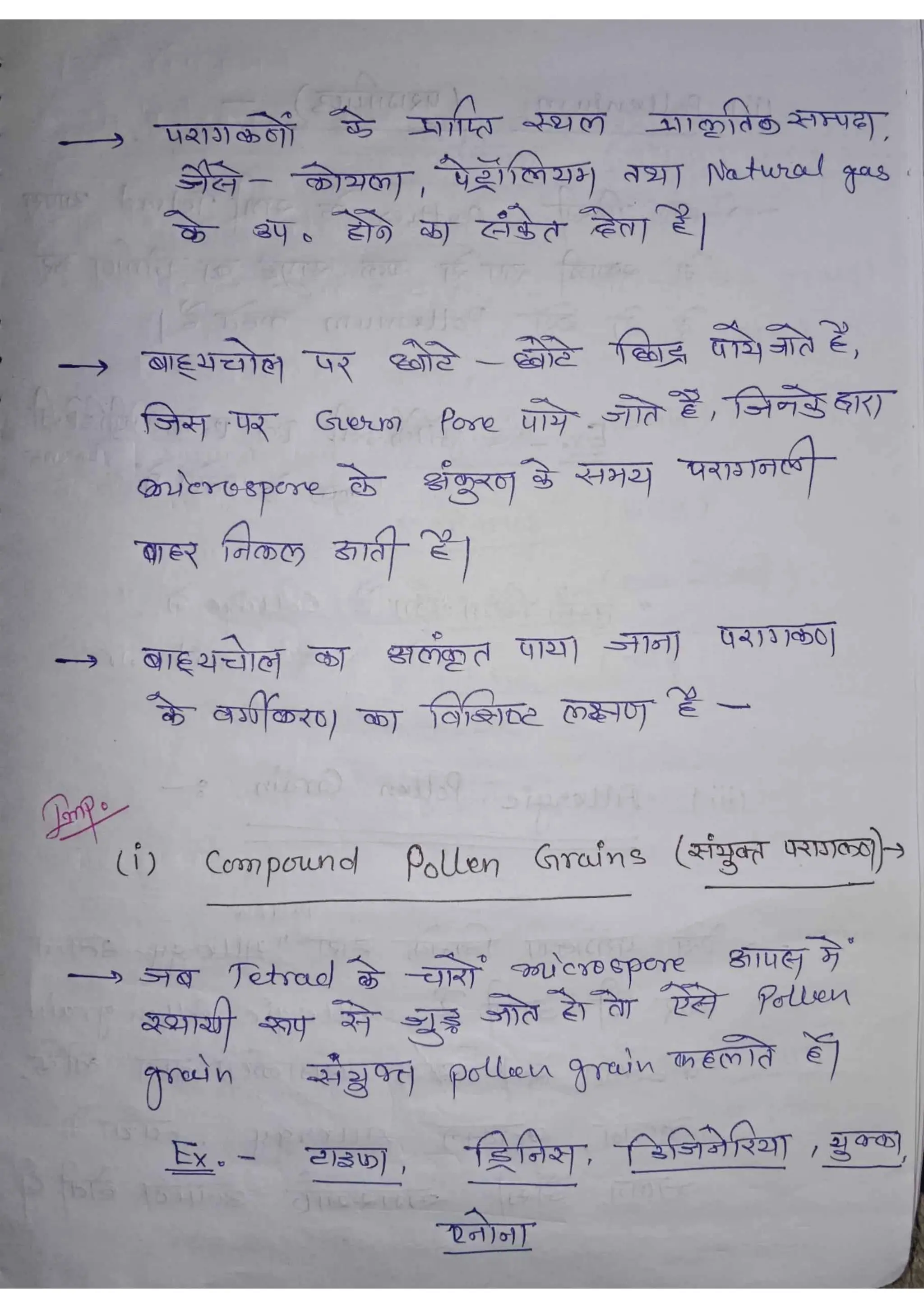 Microsporogenesis , Pollen Grains , Male Gametophyte, Ovule ...