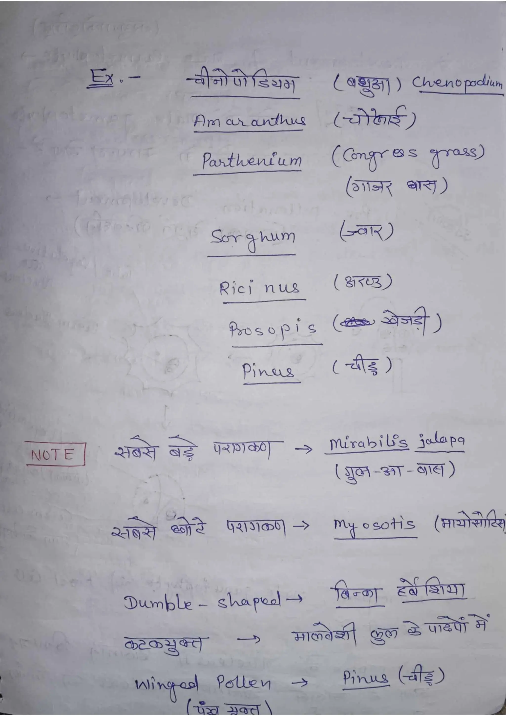 Microsporogenesis , Pollen Grains , Male Gametophyte, Ovule ...