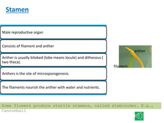 MICROSPOROGENESIS PPT rku.ppt with audio | PPT