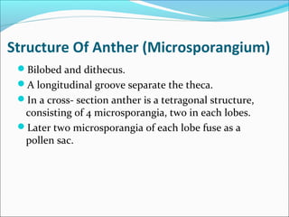Microsporogensis | PPT