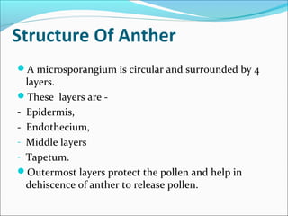 Microsporogensis | PPT