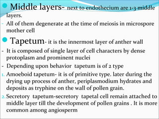 Microsporogensis | PPT